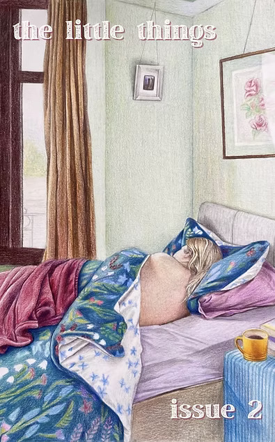 In conversation with ‘the little things: literary magazine’: fostering ...