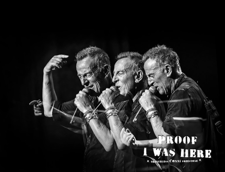 In conversation with Conni Freestone: proof she was here – The ...